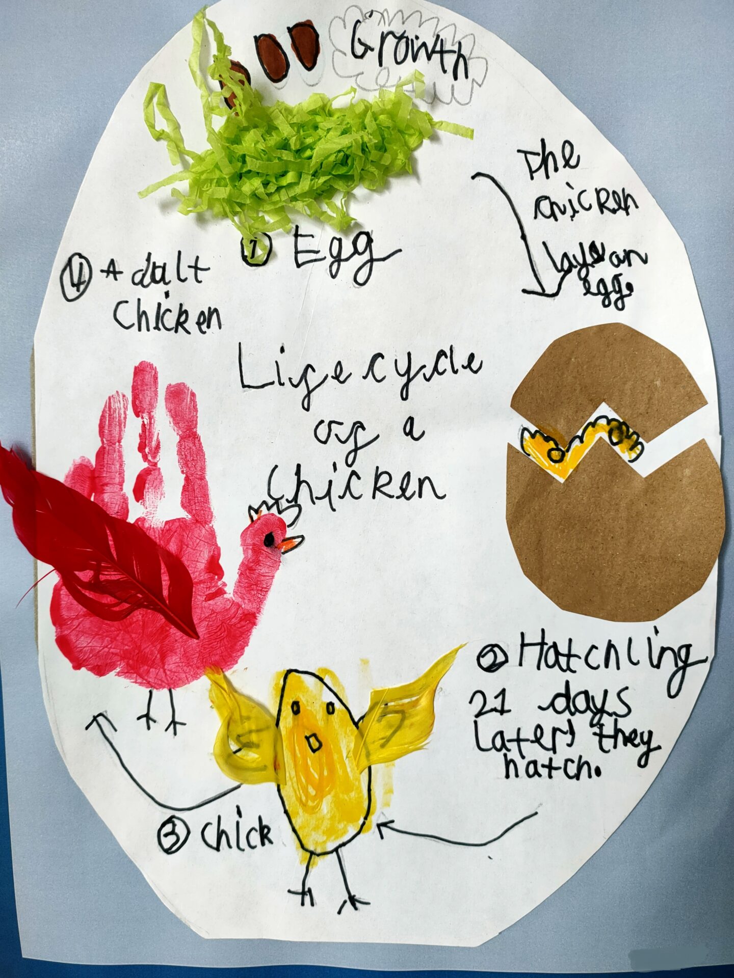 Winners of the 2022 poster competition announced! - British Science Week Winners of the 2022 poster competition announced! - British Science Week
