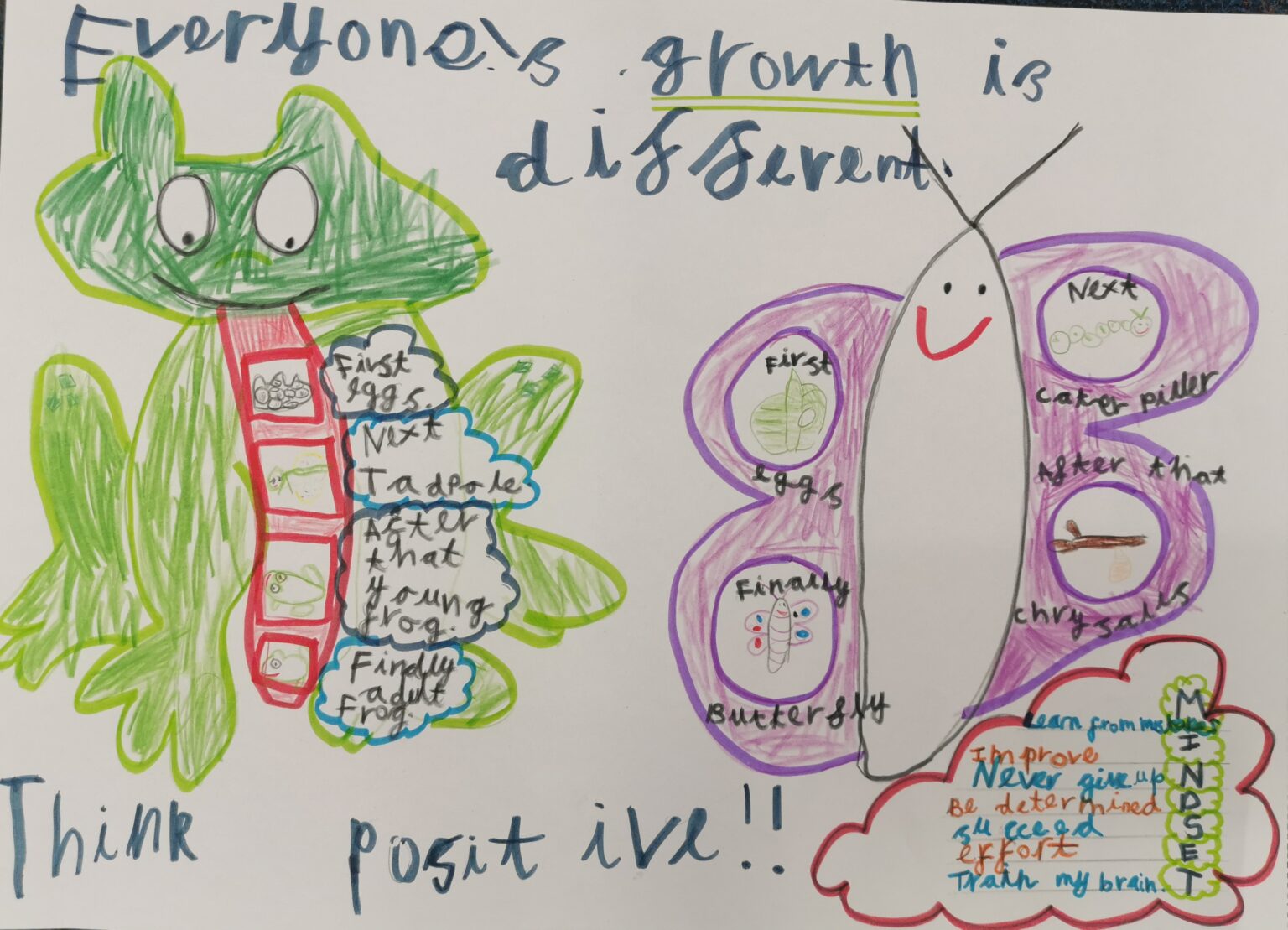 Winners of the 2022 poster competition announced! - British Science Week Winners of the 2022 poster competition announced! - British Science Week