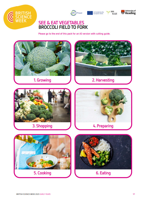 Food and British Science Week - British Science Week