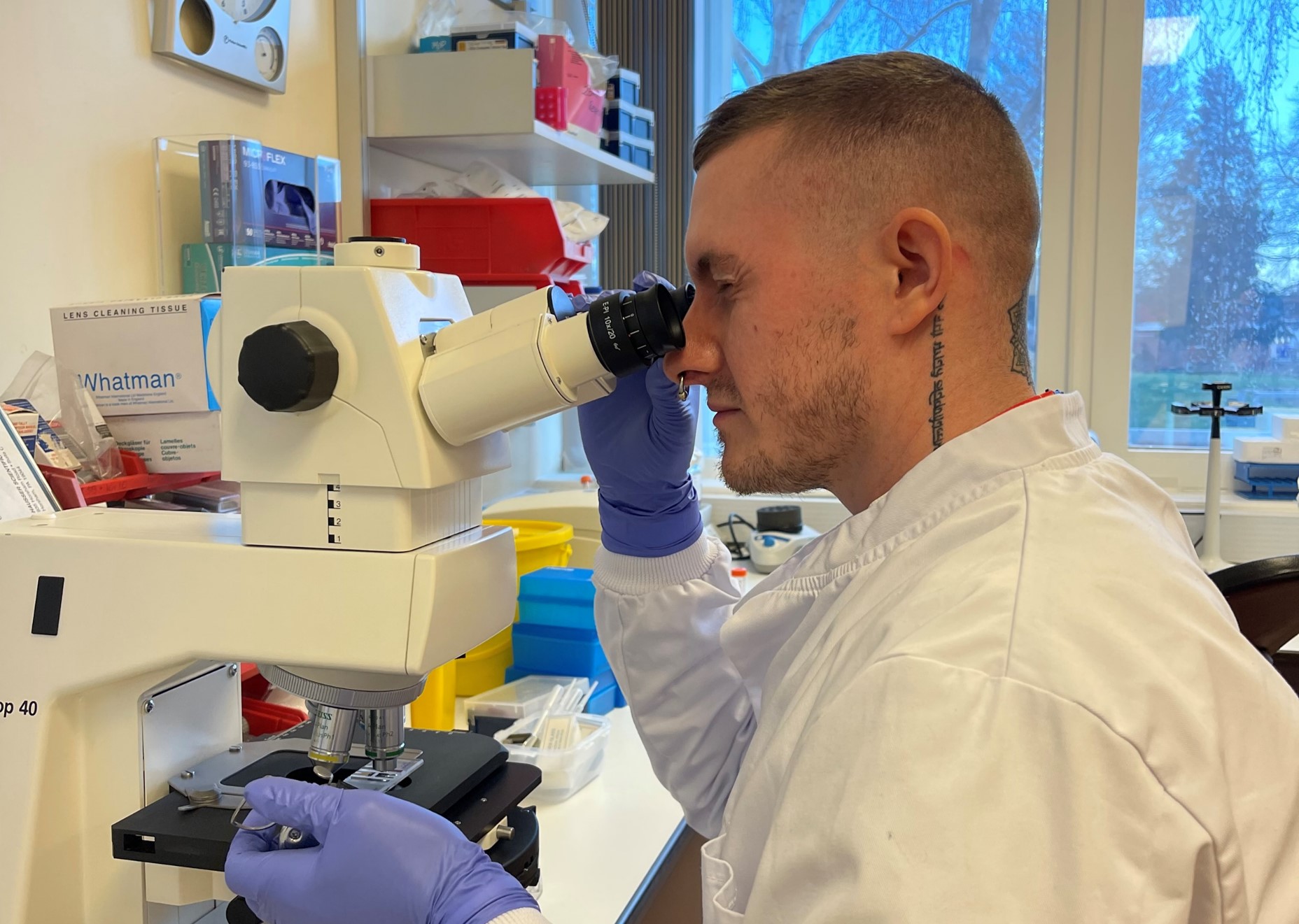 Smashing Stereotypes: Tom Loseby-Taylor - British Science Week